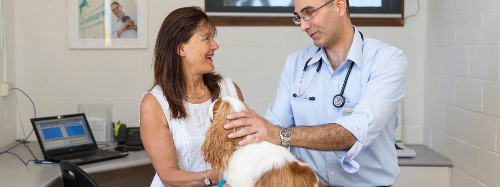 Animal Ultrasound Services | Vets in Cranbourne